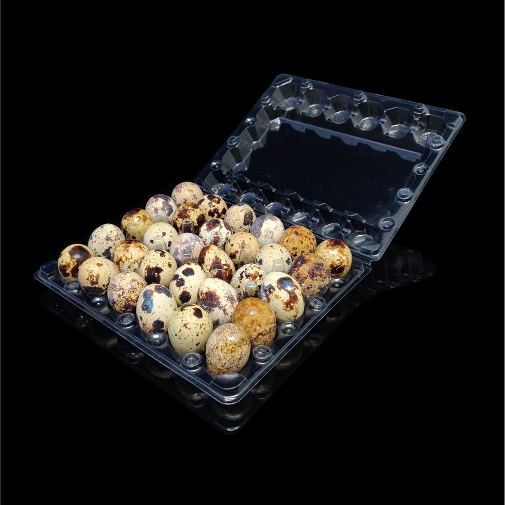 พลาสติกใส่ไข่ ถูกที่สุด พร้อมโปรโมชั่น - เม.ย. 2022 | BigGo เช็คราคาง่ายๆ