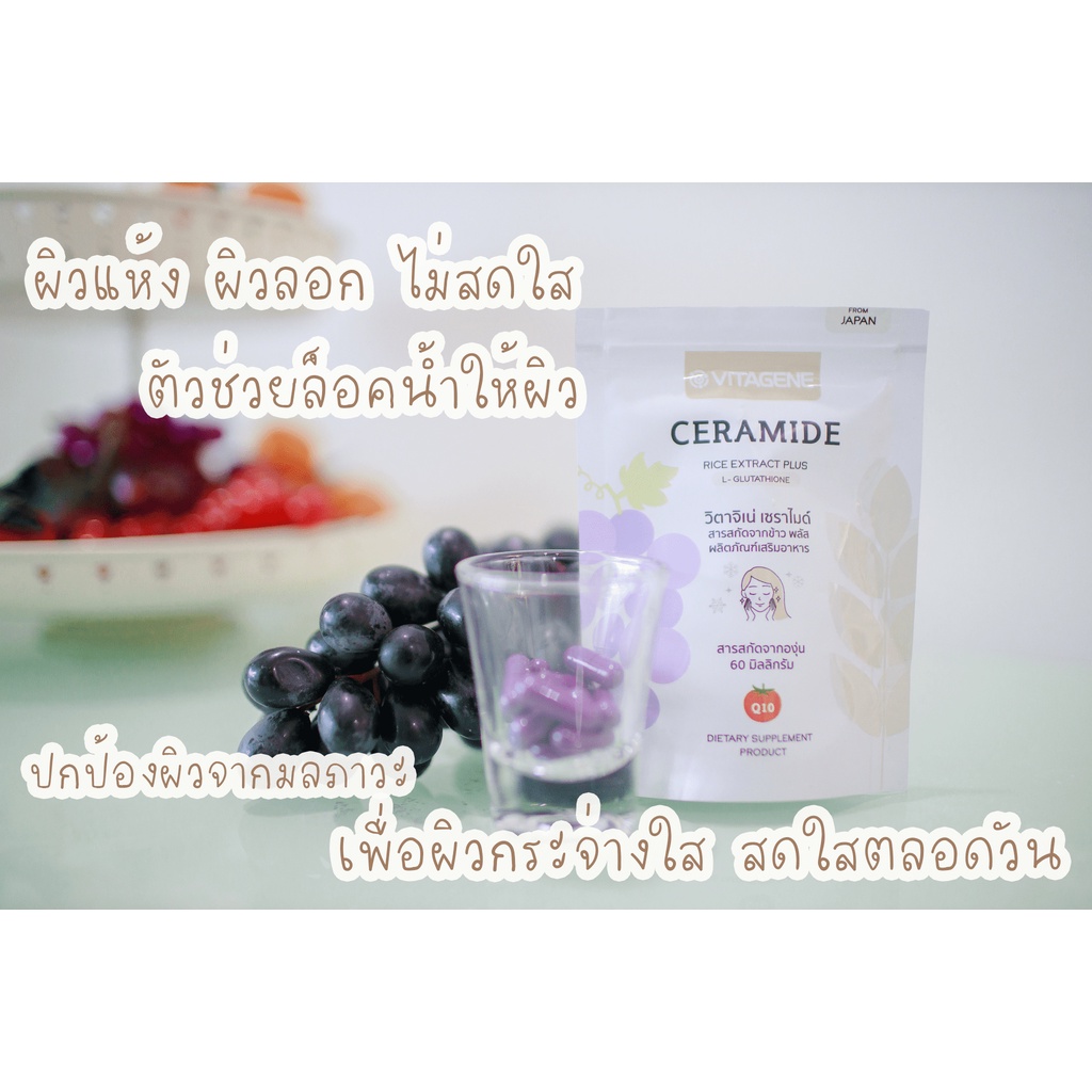 วิตาจิเน่ เซราไมด์ สารสกัดจากข้าว พลัส (VITAGENE Ceramide Rice Extract ...