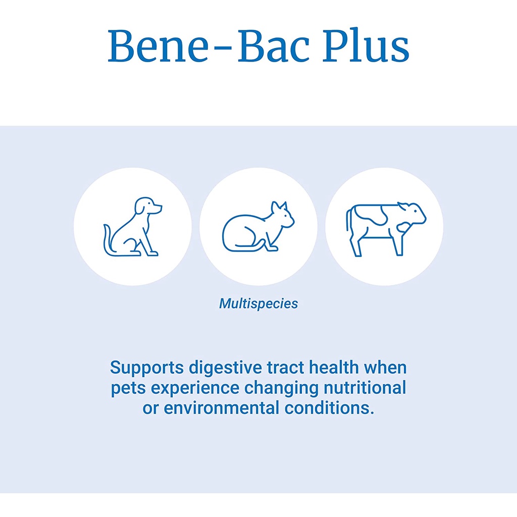 อาหารเสริม PetAg Bene-Bac Plus Gel Digestive Supplement for Dogs Cats ...