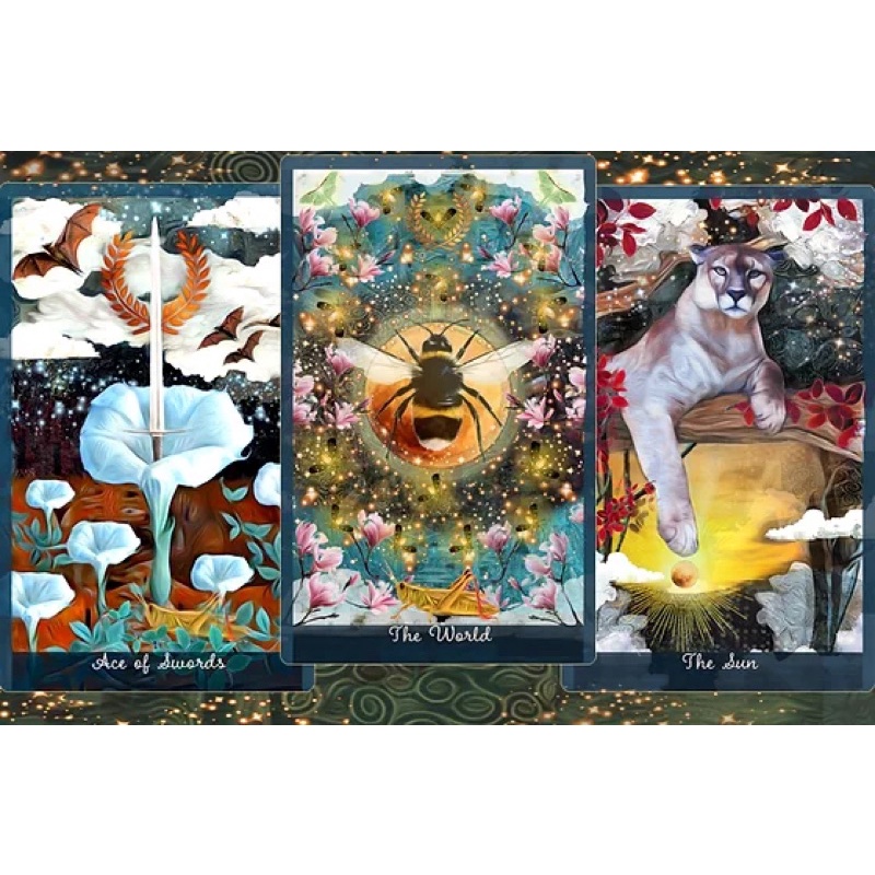 ไพ่ทาโร่ The guardian of the night tarot แท้ ไพ่ยิปซี ไพ่ทาโร่ รับ ...