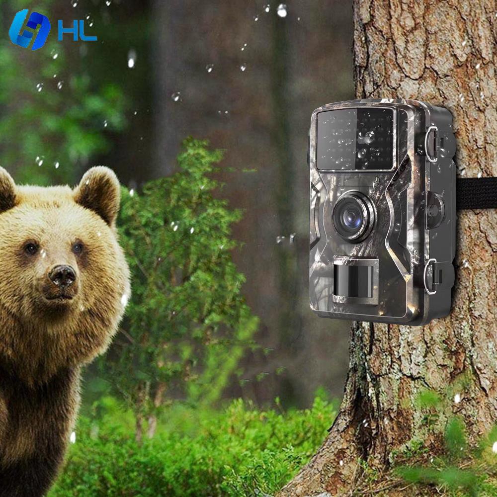 HL Scouting Camera Animal Camera Recording Video Observing Animals IR ...