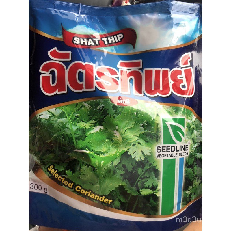 เมล็ดพันธุ์ผักชีฉัตรทิพย์ ถูกที่สุด พร้อมโปรโมชั่น ธ.ค. 2022|BigGoเช็ค ...