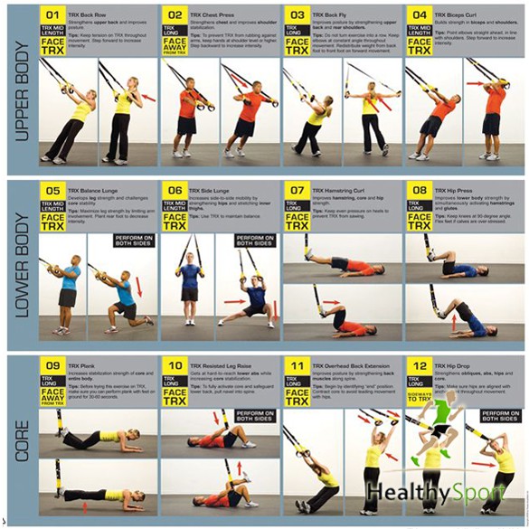 TRX Suspension รุ่น Basic Kit เชือกออกกำลังกายแบบพกพา - healthysport ...