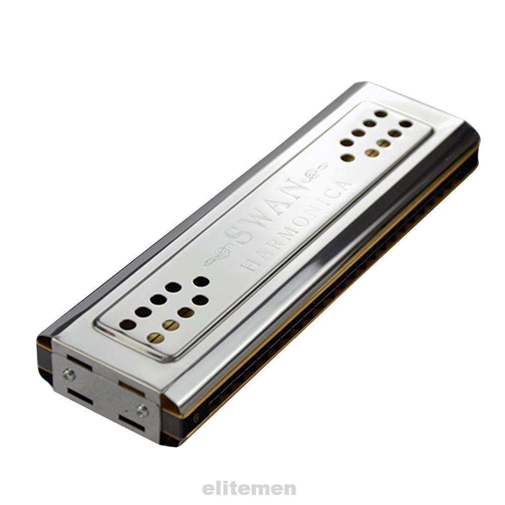 SW24 12A Professionals Daily Practice Resin Frets Copper Board Stage ...