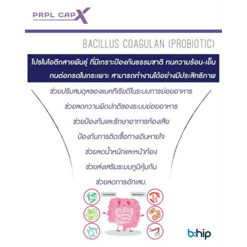 PRPLCAPX (เพอเพิลแคป เอ็กซ์) - (1กล่อง x 60แคปซูล) ????ของแท้????% ไม่ ...