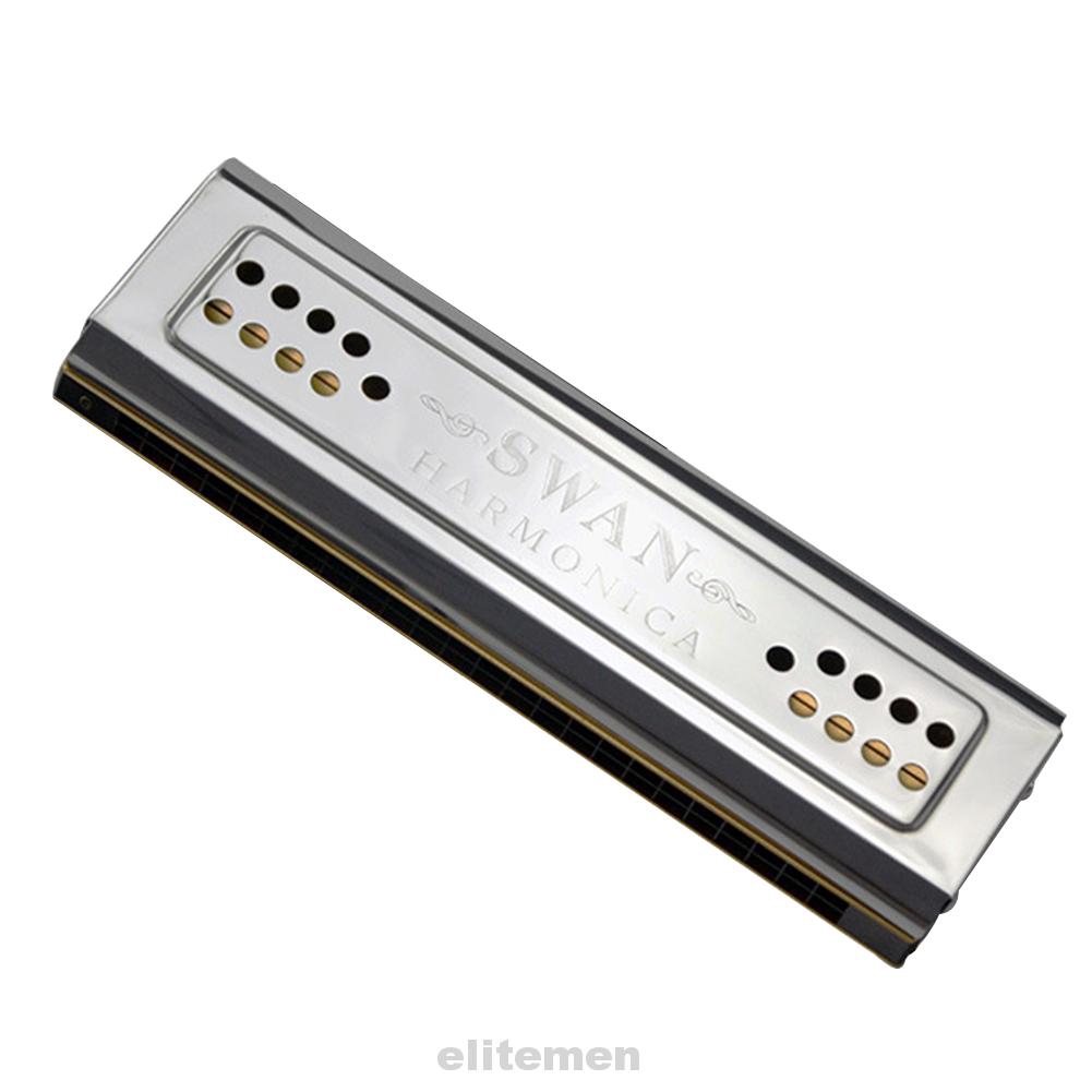 SW24 12A Professionals Daily Practice Resin Frets Copper Board Stage ...