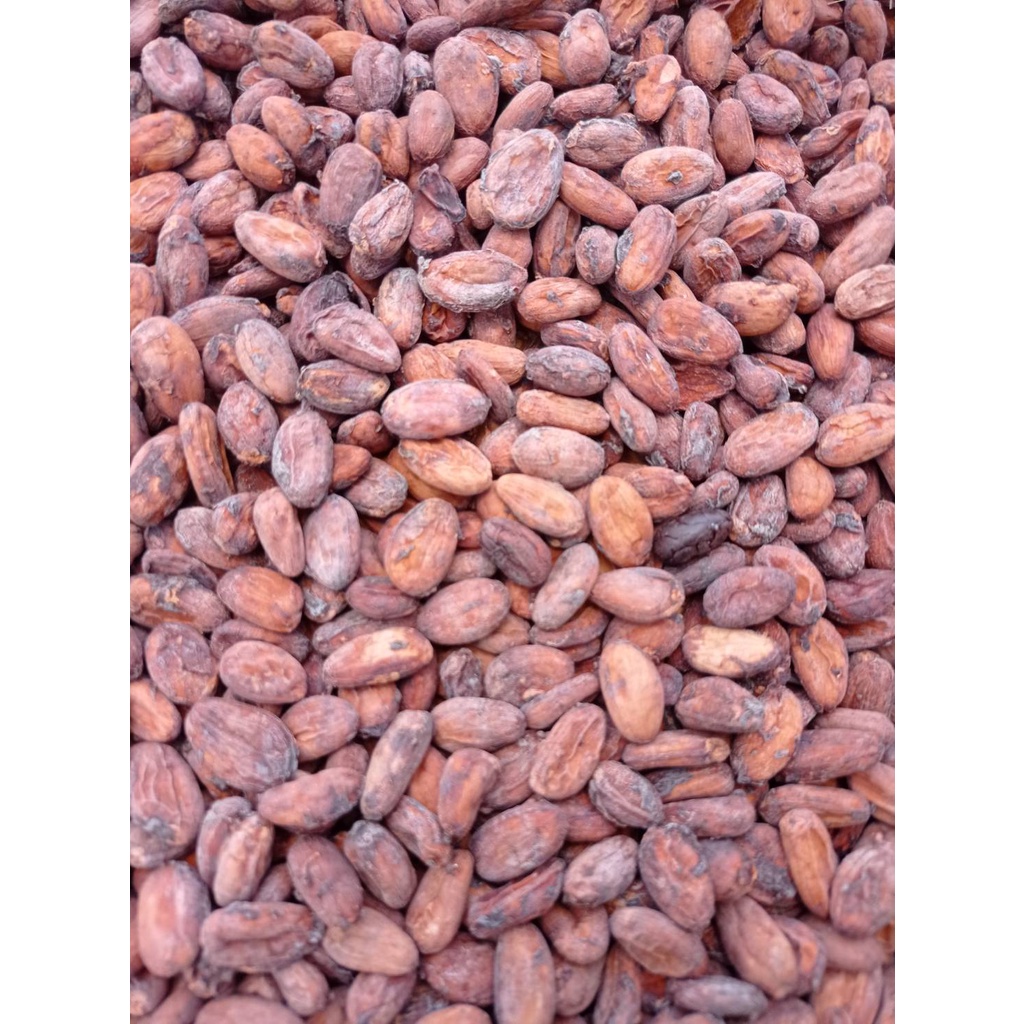 cacao bean ถูกที่สุด พร้อมโปรโมชั่น ก.พ. 2026 | BigGoเช็คราคาง่ายๆ