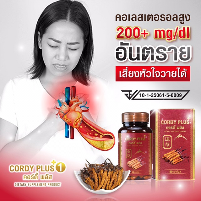1แถม2exp924️ถั่งเช่าทิเบตเข้มข้นCordy plus1เห็ดหลินจือแดงสกัด (60แคปซูล ...