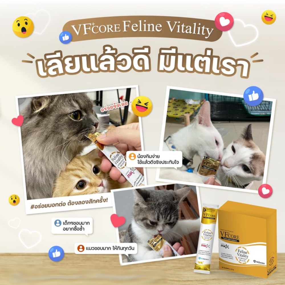 VF core Feline Vitality อาหารเสริม แมว ขนมแมวเลีย สูตรสีทอง วิตามินรวม ...