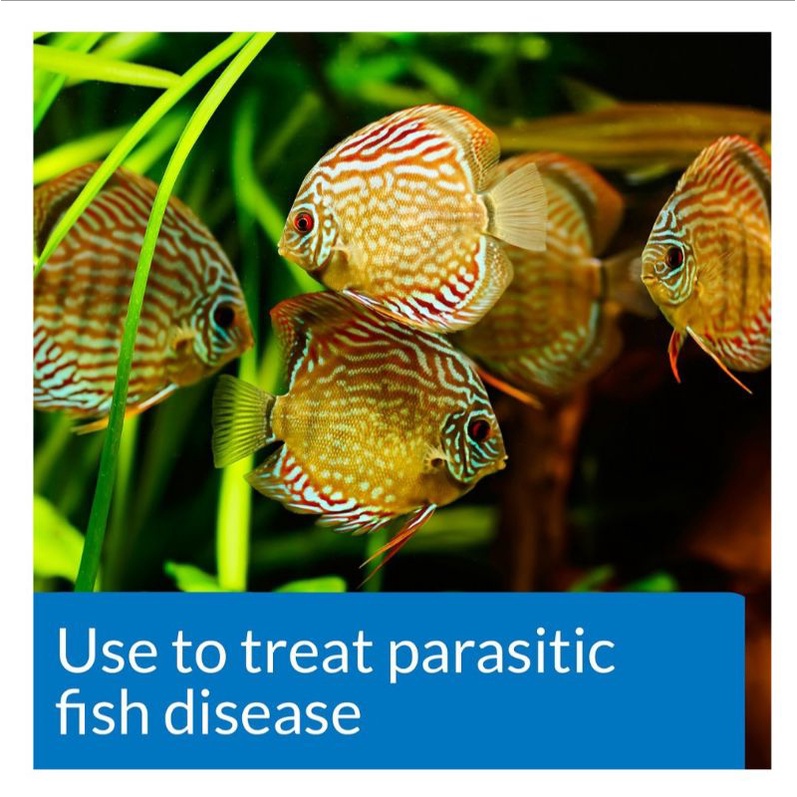 General Cure Freshwater Saltwater Aquarium Parasitic Fish Disease ...