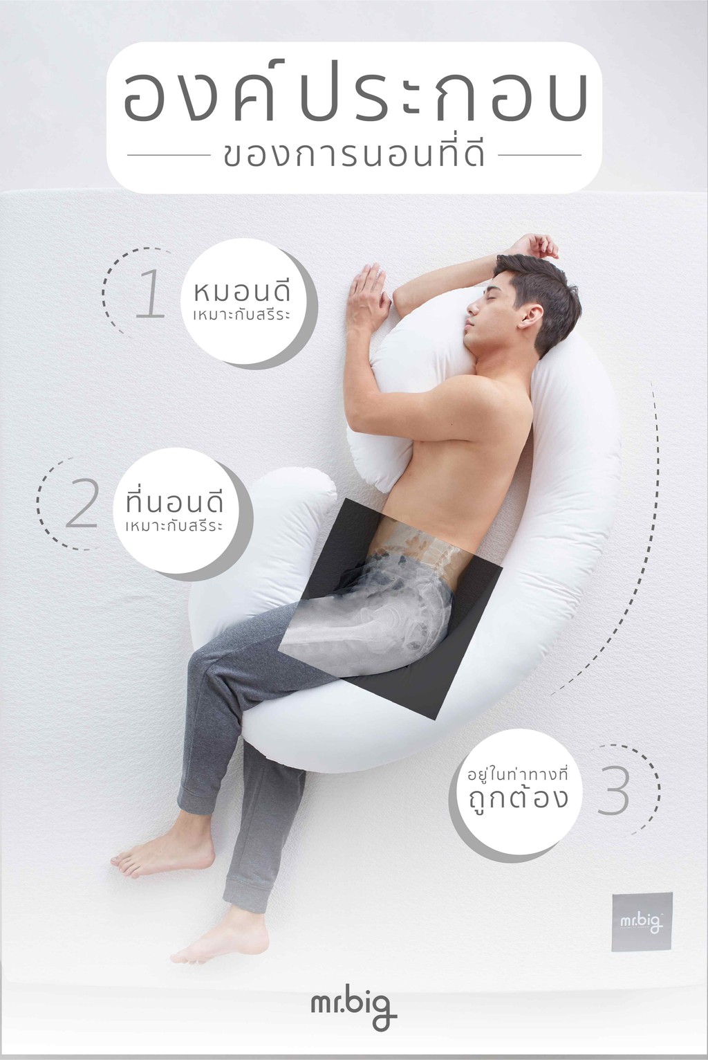 MR.BIG Official Store, ร้านค้าออนไลน์ | Shopee Thailand