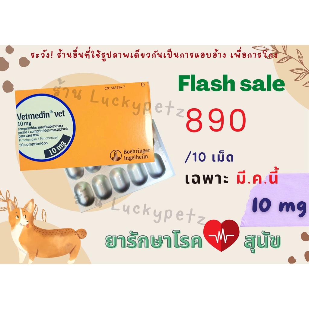 Pimobendan ถูกที่สุด พร้อมโปรโมชั่น - มี.ค. 2022 | BigGo เช็คราคาง่ายๆ