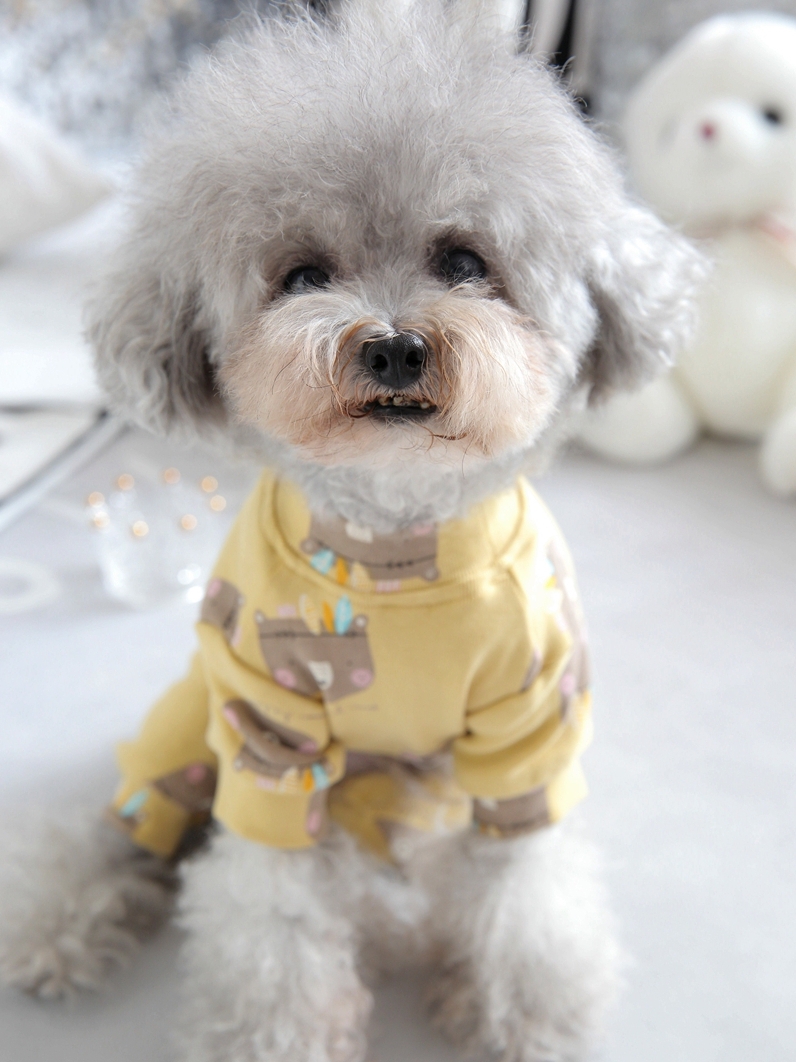 เสื้อผ้าสุนัขPet Bear Chenari Small Dog Teddy Dog Clothes Fall and ...