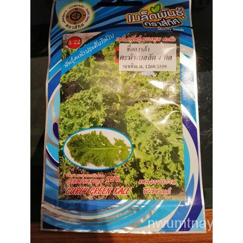 คะน้าใบสลัด ถูกที่สุด พร้อมโปรโมชั่น เม.ย. 2023|BigGoเช็คราคาง่ายๆ