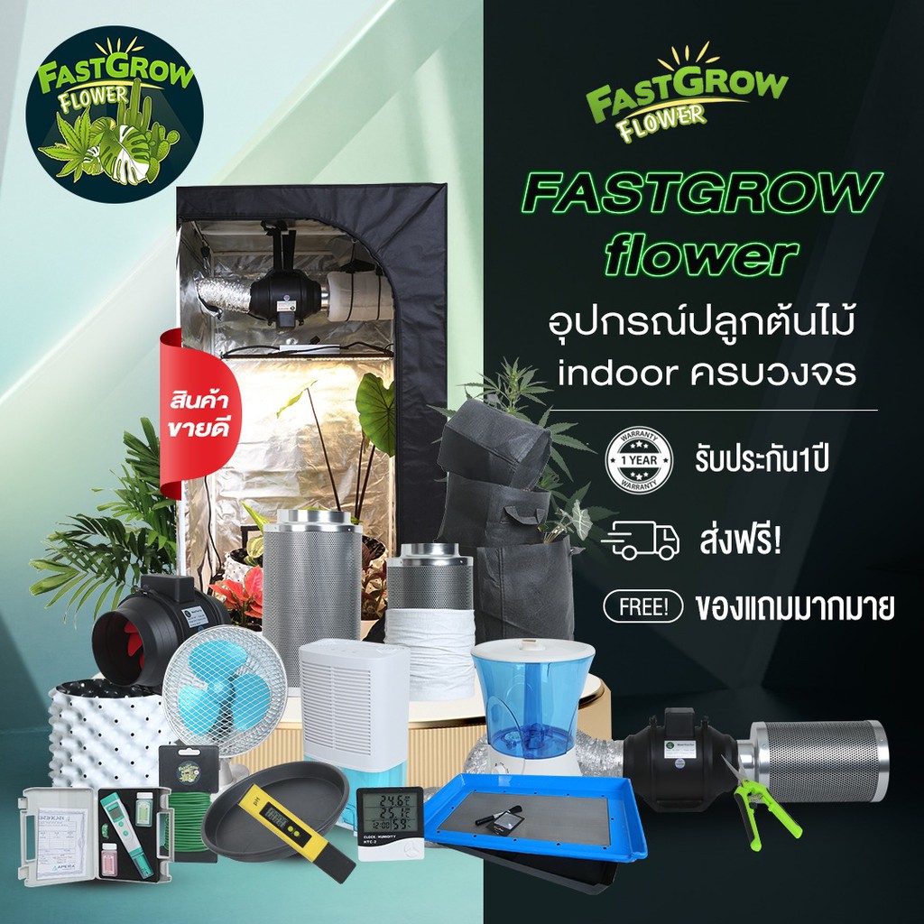 Fastgrowflower, ร้านค้าออนไลน์ | Shopee Thailand