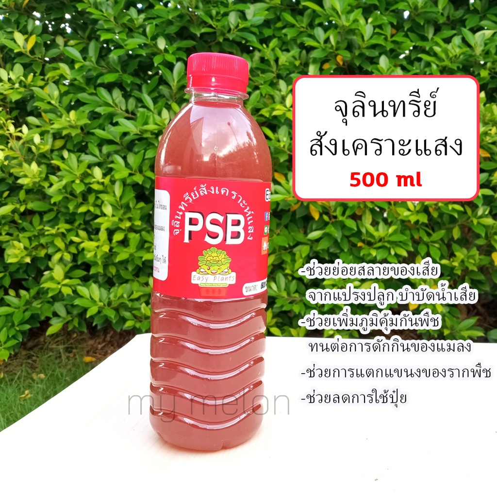 จุลินทรีย์สังเคราะห์แสง PSB 500ml เข้มข้นคุณภาพสูง | Shopee Thailand