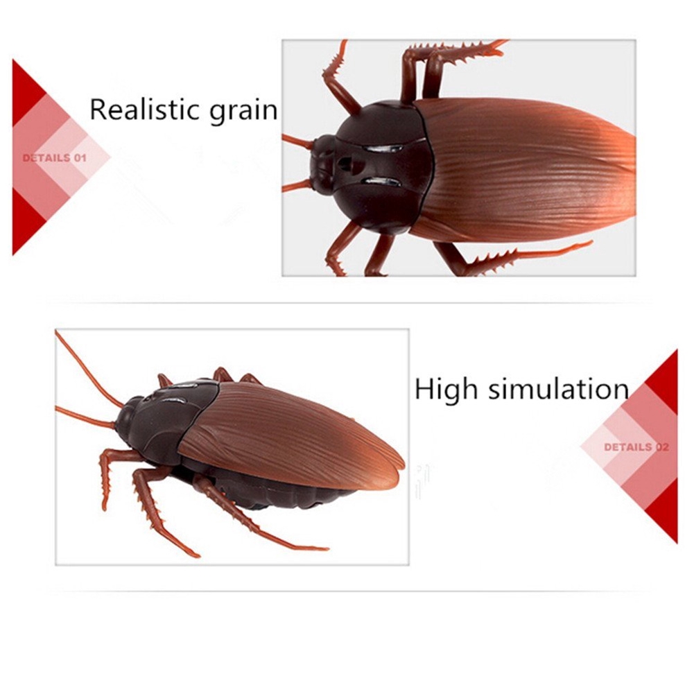 Remote Control Electric Cockroach Insect Bug Car Vehicle Roach Animal ...