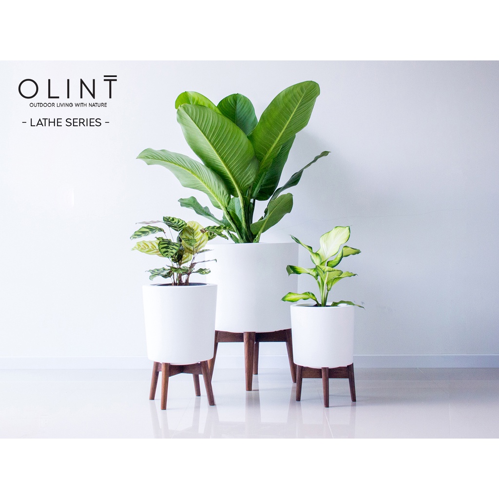 Olint ถูกที่สุด พร้อมโปรโมชั่น - ก.พ. 2022 | BigGo เช็คราคาง่ายๆ