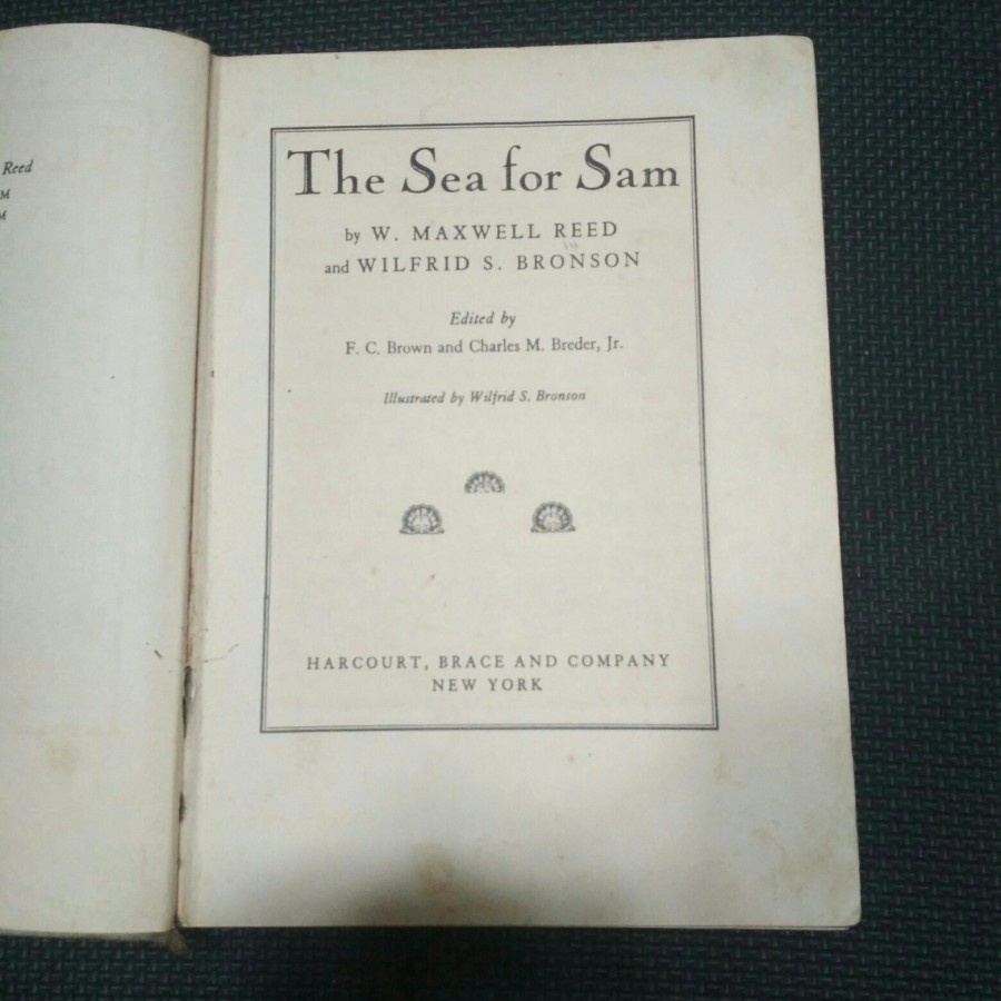 หนังสือนําเข้า - THE WARDENS DAUGHTER - wonderstore.co.th - ThaiPick