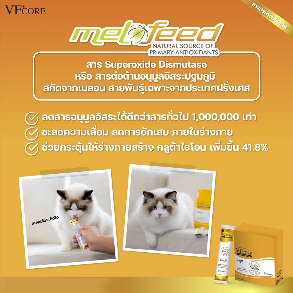 VF core Feline Vitality อาหารเสริม แมว ขนมแมวเลีย สูตรสีทอง วิตามินรวม ...
