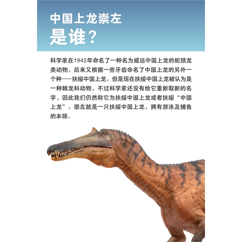 โมเดลฟิกเกอร์ รูปไดโนเสาร์ PNSO Chinese Shanglong 66 Chongzuo Dinosaur ...