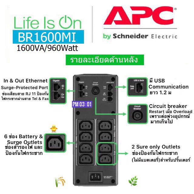 UPS APC PRO Back BR1600Mi (1600VA960Watts) มีมอก แถม APC Power Bank ...