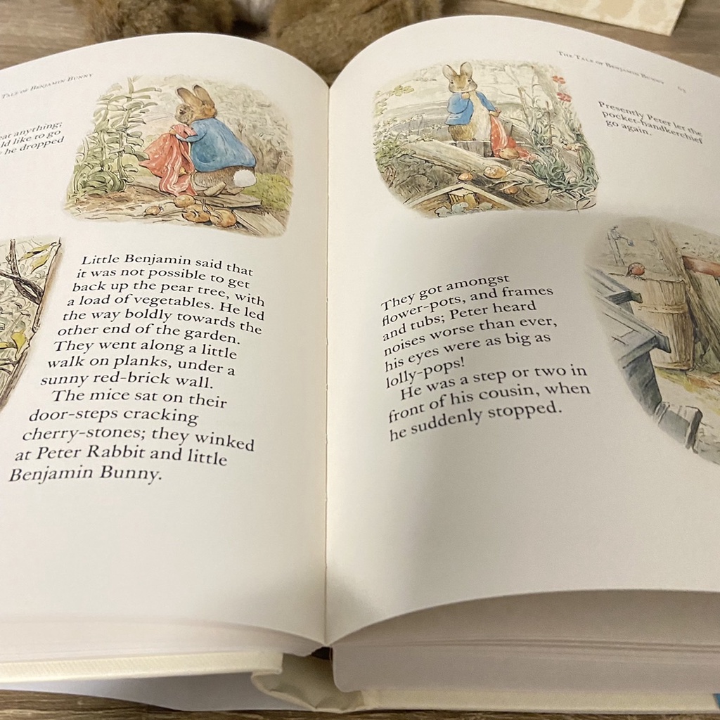 Peter Rabbit The Complete Collection - newpubate13 - ThaiPick