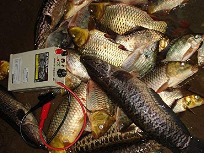 Fishing Machine Electric Inverter Fish Shocker Stunner, 12V Susan 735MP ...
