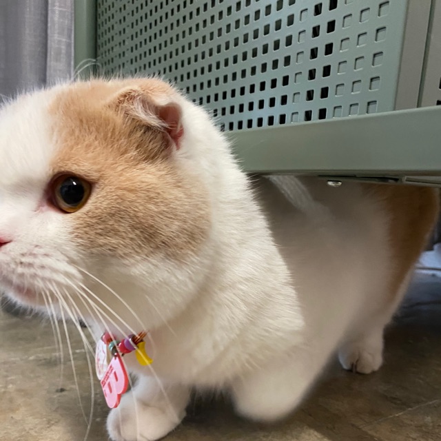 bbbbbbbbbbbbbbbbbbbbbbbbbbbbbb, ร้านค้าออนไลน์ | Shopee Thailand