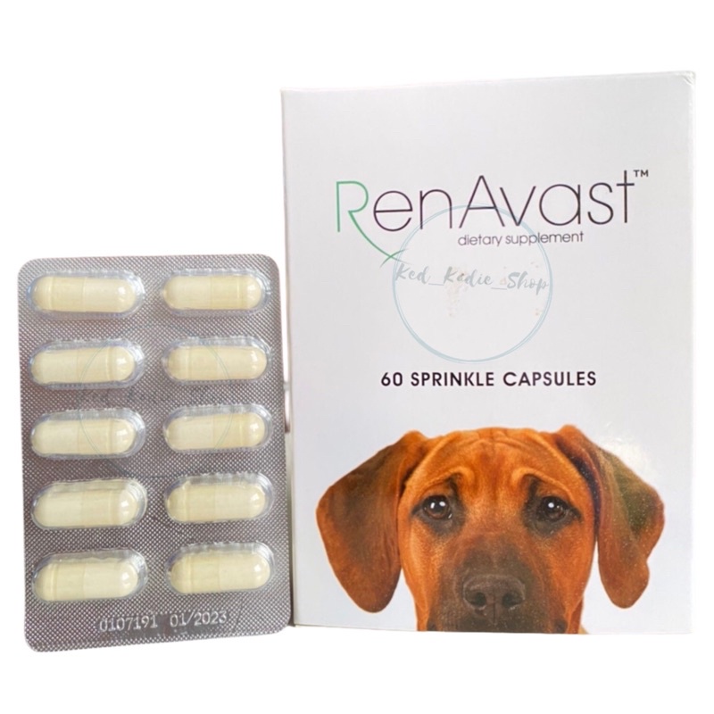 RenAvast วิตามินบำรุงไต กรองไต ฟื้นฟูไต สำหรับสุนัข | Shopee Thailand