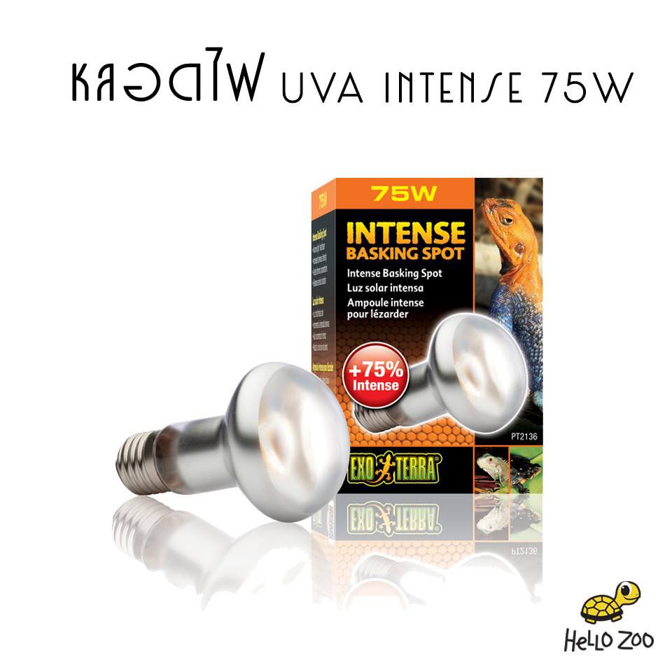 Exo Terra -Reptile UVB150-UVB200 25W หลอดไฟ UVB150-UVB200 25วัตต์ - reptileworld - ThaiPick