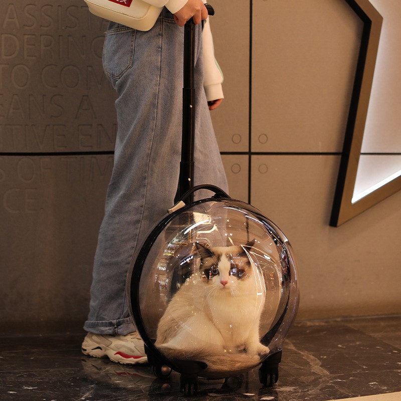 ☢¤cat bag out portable trolley case cat backpack large capacity ...