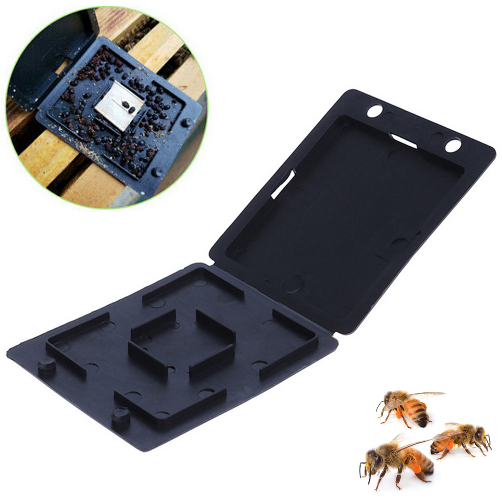 10 pcs Plastic Beekeeping Beehive Beetle Collector Trap Catching Insect ...