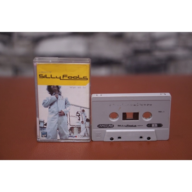 Silly fools อัลบั้ม mint - kim_aom - ThaiPick