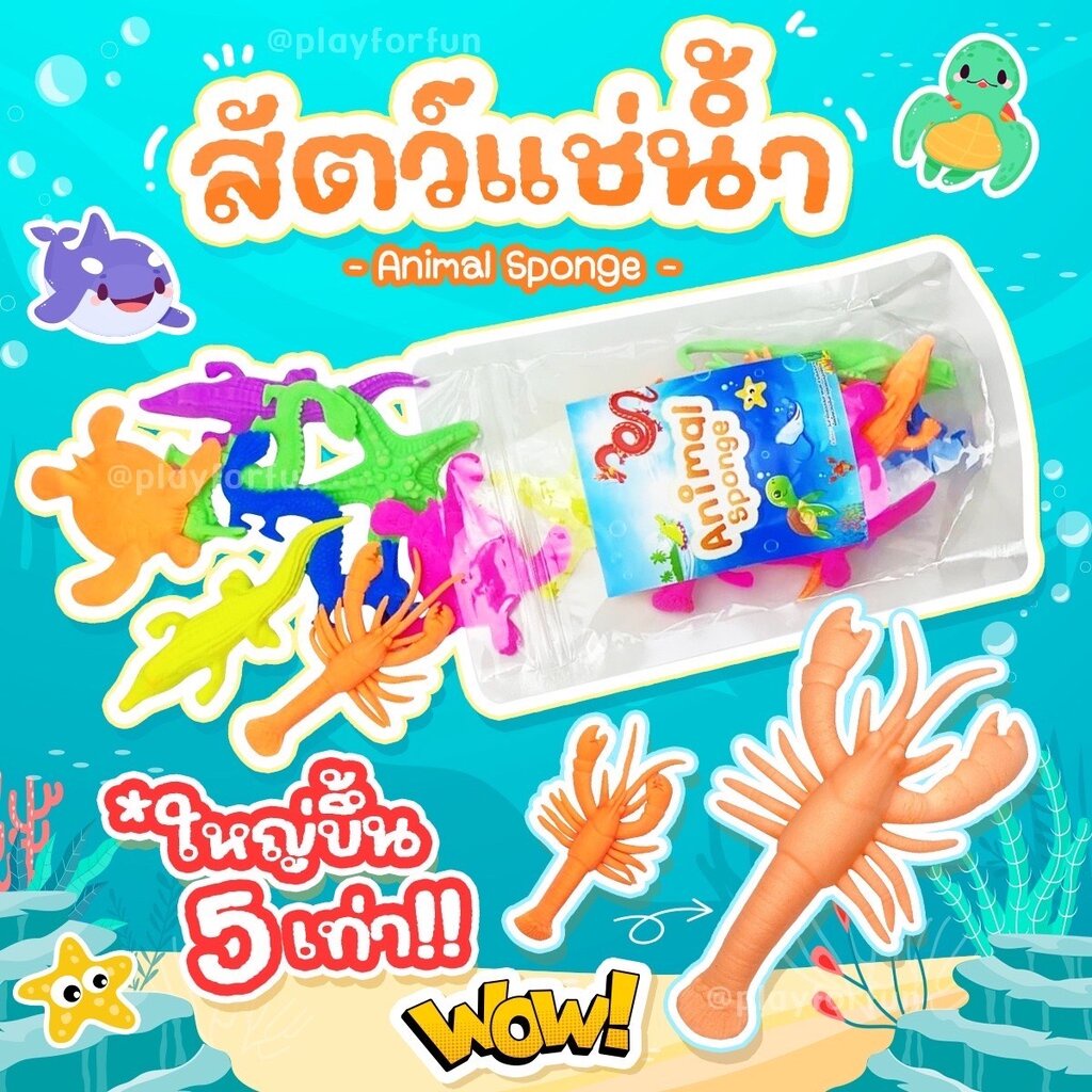 บิ๊กบึ้มมากกก ️ Animal Sponge แช่น้ำแล้วพองขึ้น 5 เท่า ...