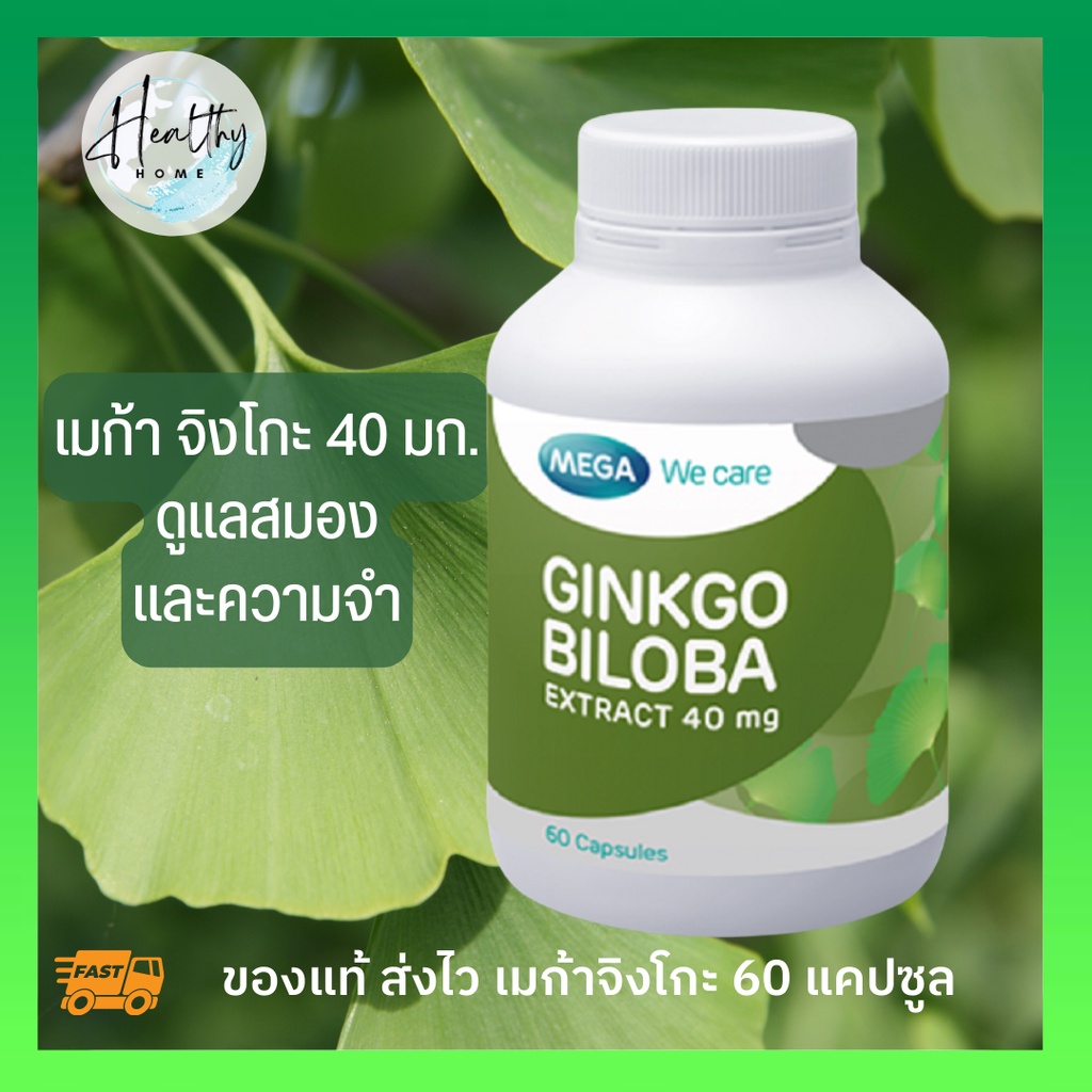 Mega Ginkgo biloba สารสกัดจากใบแปะก๊วย ดูแลสมองและความจำ - healthyyhome ...