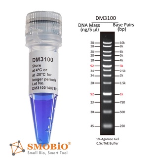 DM3100 ExcelBand DNA Ladder 1KB (0.25-10 kb) 500 uL DNA Marker PCR gel ...