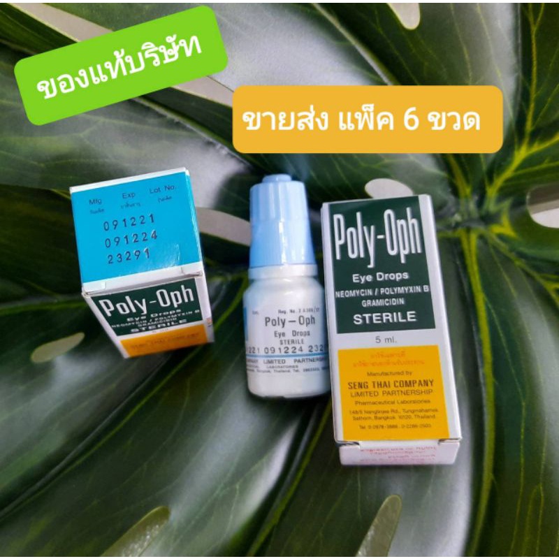 อาการกระต่ายเด็ก ถูกที่สุด พร้อมโปรโมชั่น มี.ค. 2023|BigGoเช็คราคาง่ายๆ