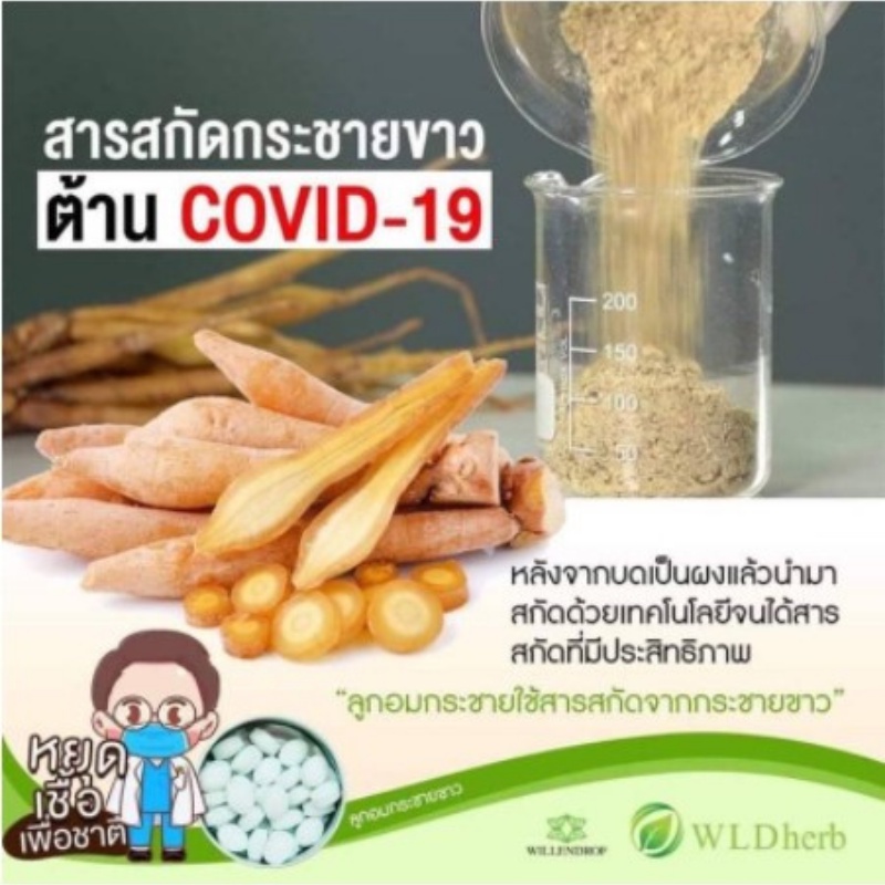 ลูกอมกระชายขาว ดีดี เฮิร์บ dd herbs ของแท้ 100 ช่วยป้องกันกลิ่นปาก เย็น ...