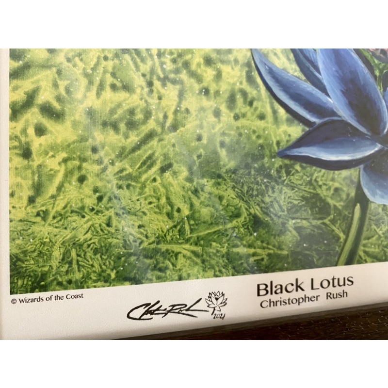 Black Lotus Poster by Christopher Rush - collector_store - ThaiPick