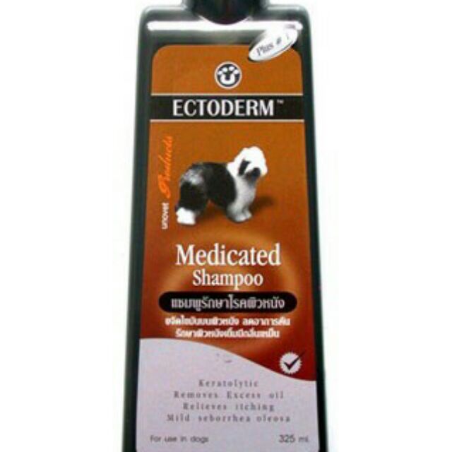 Ectoderm ถูกที่สุด พร้อมโปรโมชั่น ม ค 2025 Biggoเช็คราคาง่ายๆ