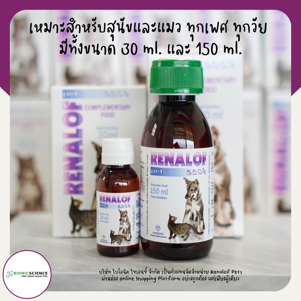 ของแท้ส่งไว ช่วยสลายนิ่ว ไต กระเพาะปัสสาวะ กระเพาะปัสสาวะอักเสบ Renalof ...