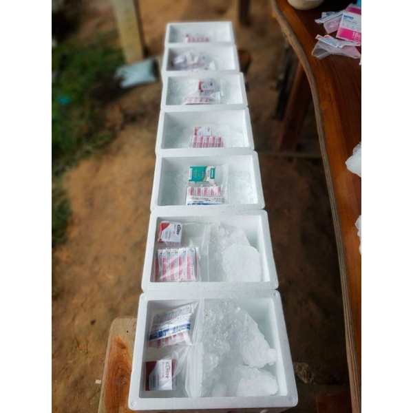 วัคซีนลัมปีสกิน วัคซีนป้องกันโรคลัมปีสกิน วัคซีนวัวควาย Lumpyvax 25 ตัว ...