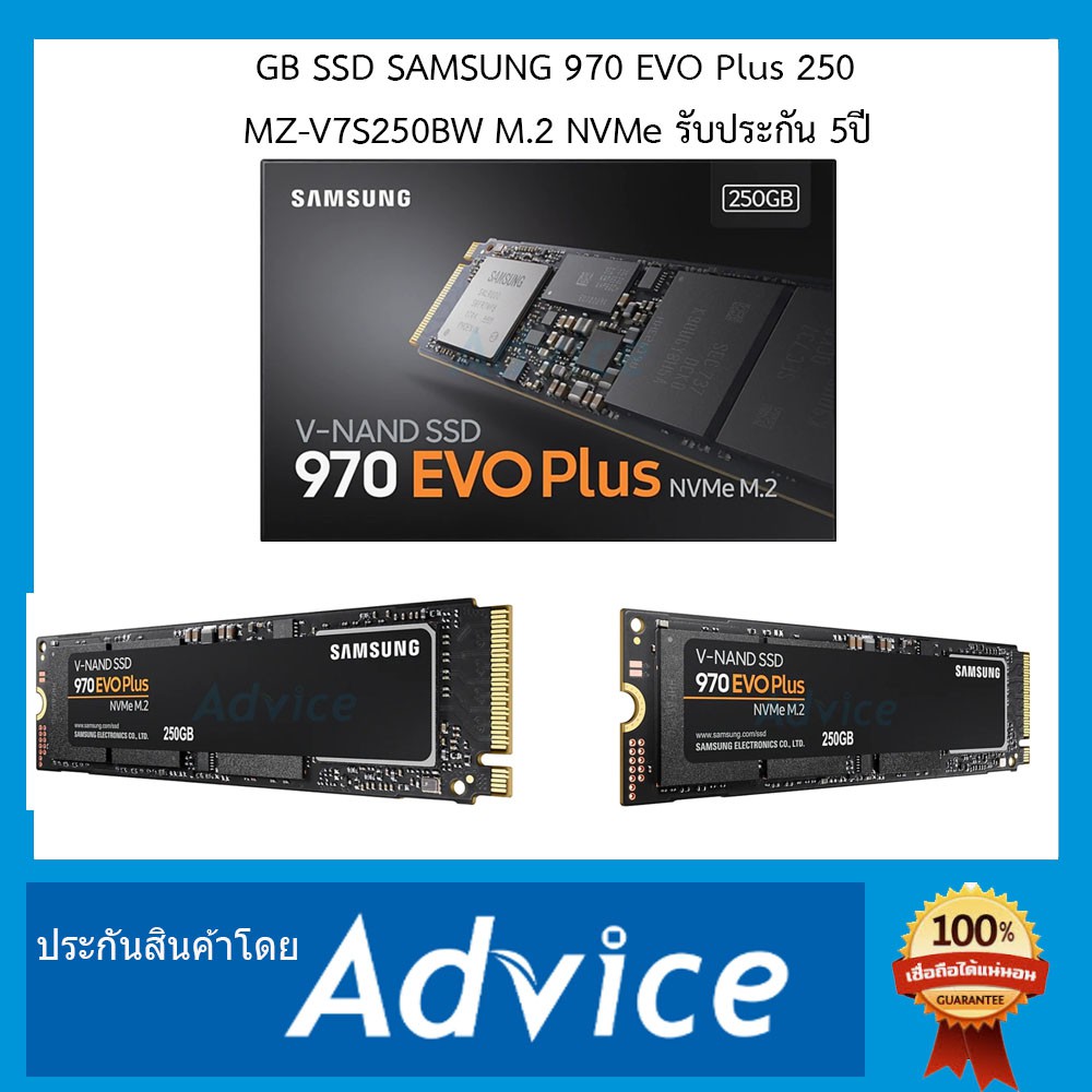 250 GB SSD SAMSUNG 970 EVO Plus (MZ-V7S250BW) M.2 NVMe - advice_banpaew - ThaiPick