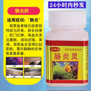 ปลาทอง Luohan Fish Enteritis Medicine Changyanling Ornamental Fish's ...
