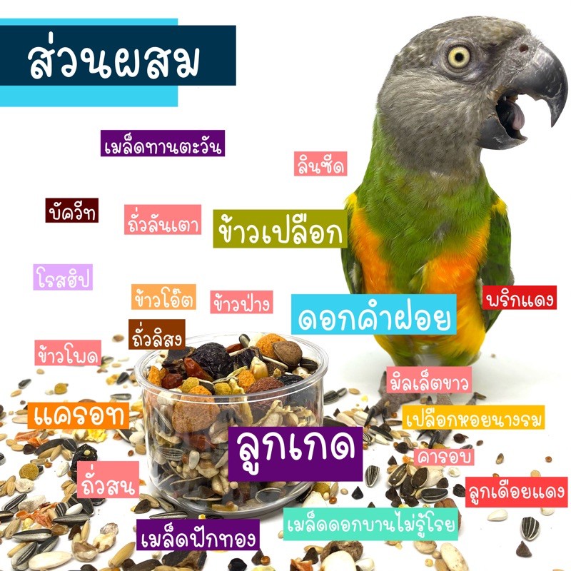 Expert Premium Parrots 1 kg. อาหารนกสูตรพรีเมียม ธัญพืชรวมสูตรพรีเมียม ...