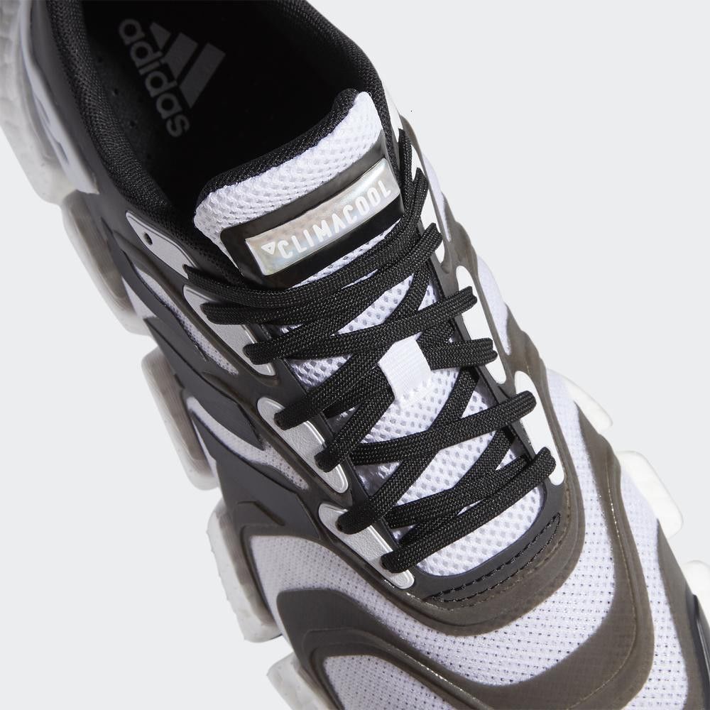 Discountadidas RUNNING Climacool Vento Shoes Men White G58767 ...