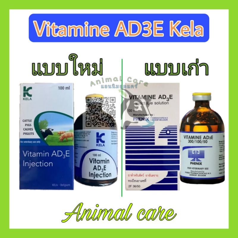 วิตามินAD3E ถูกที่สุด พร้อมโปรโมชั่น - มิ.ย 2022 | BigGo เช็คราคาง่ายๆ