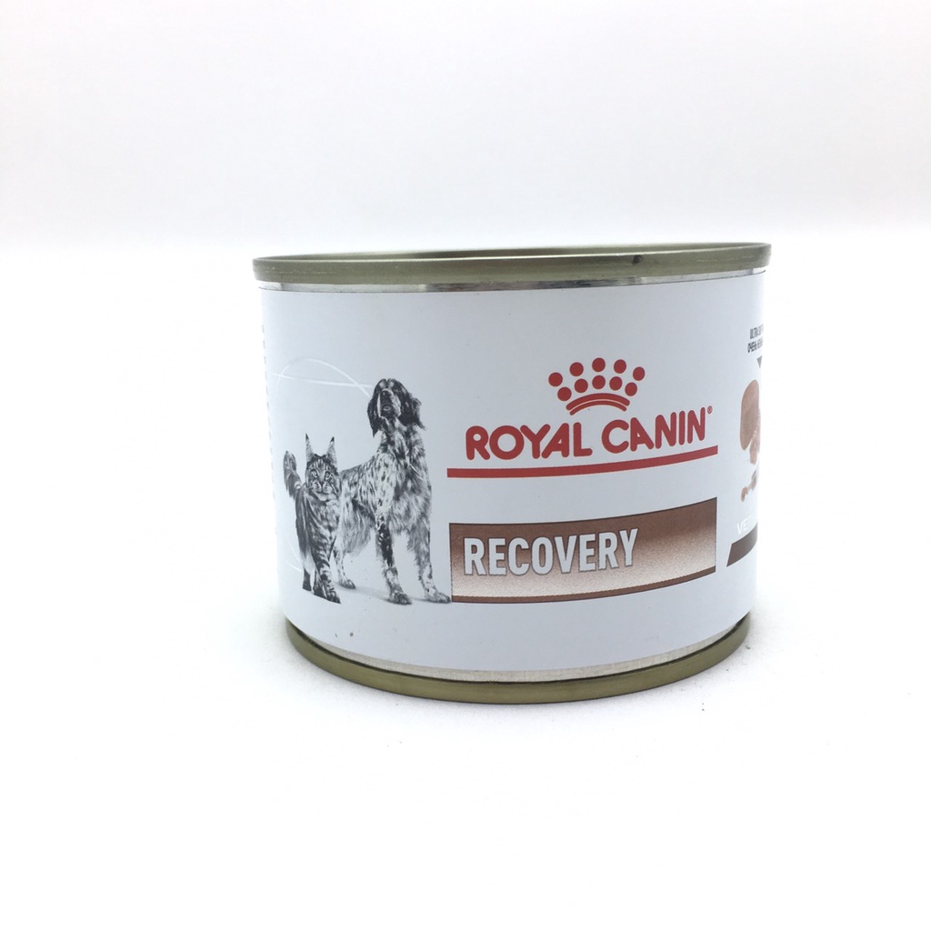 Recovery Royal canin อาหารเปียกประกอบการรักษาโรค สำหรับสัตว์ป่วยและพัก ...