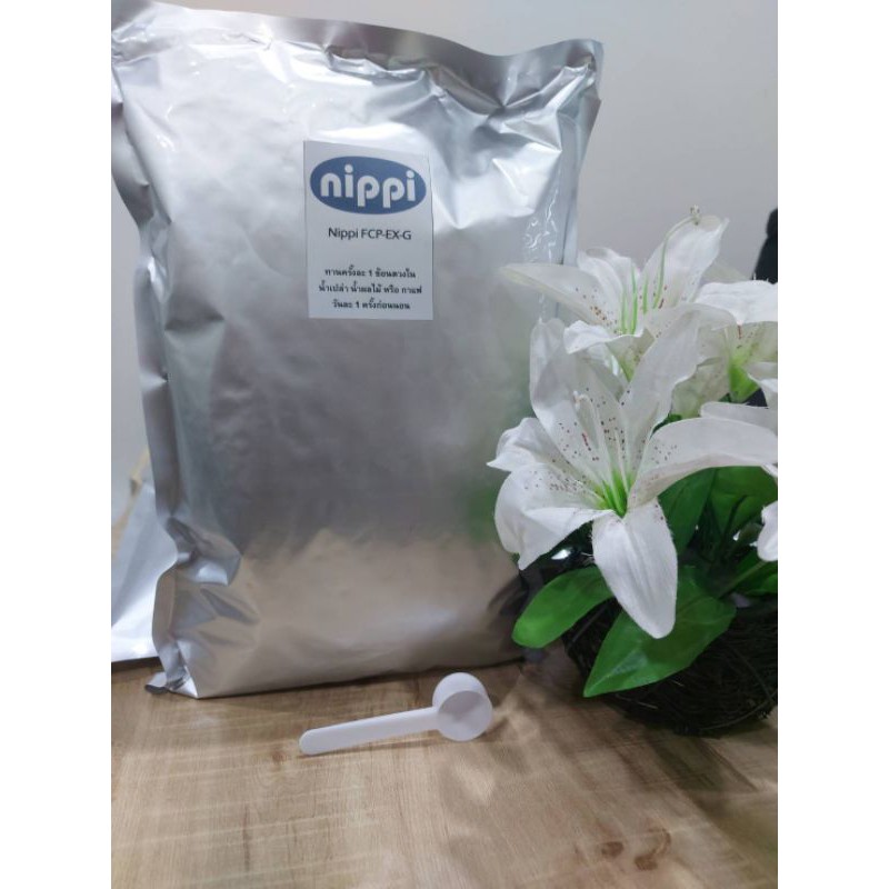 Nippi FCP-EX-G Fish Collagen นิปปิ คอลลาเจน コラーゲンペプチド - natenapatookta ...